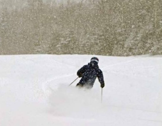 Board of Directors | North Country Animal League