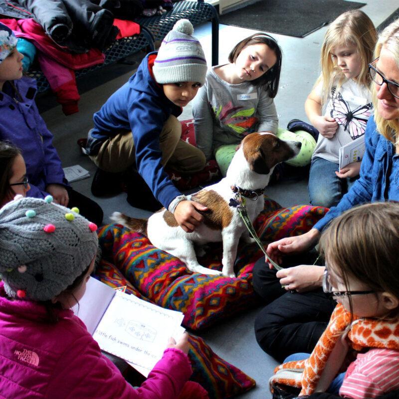 North Country Animal League