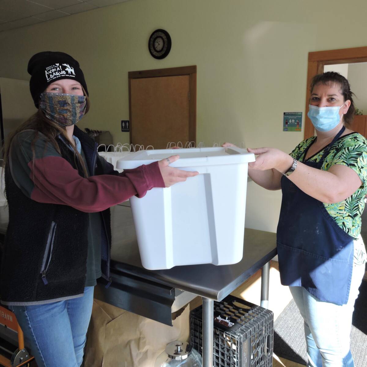 Our Services | North Country Animal League