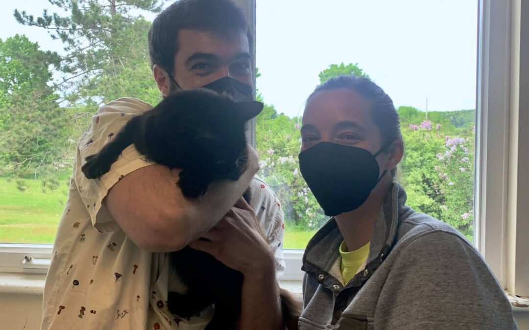 North Country Animal League | Central Vermont Pet Adoption | NCAL