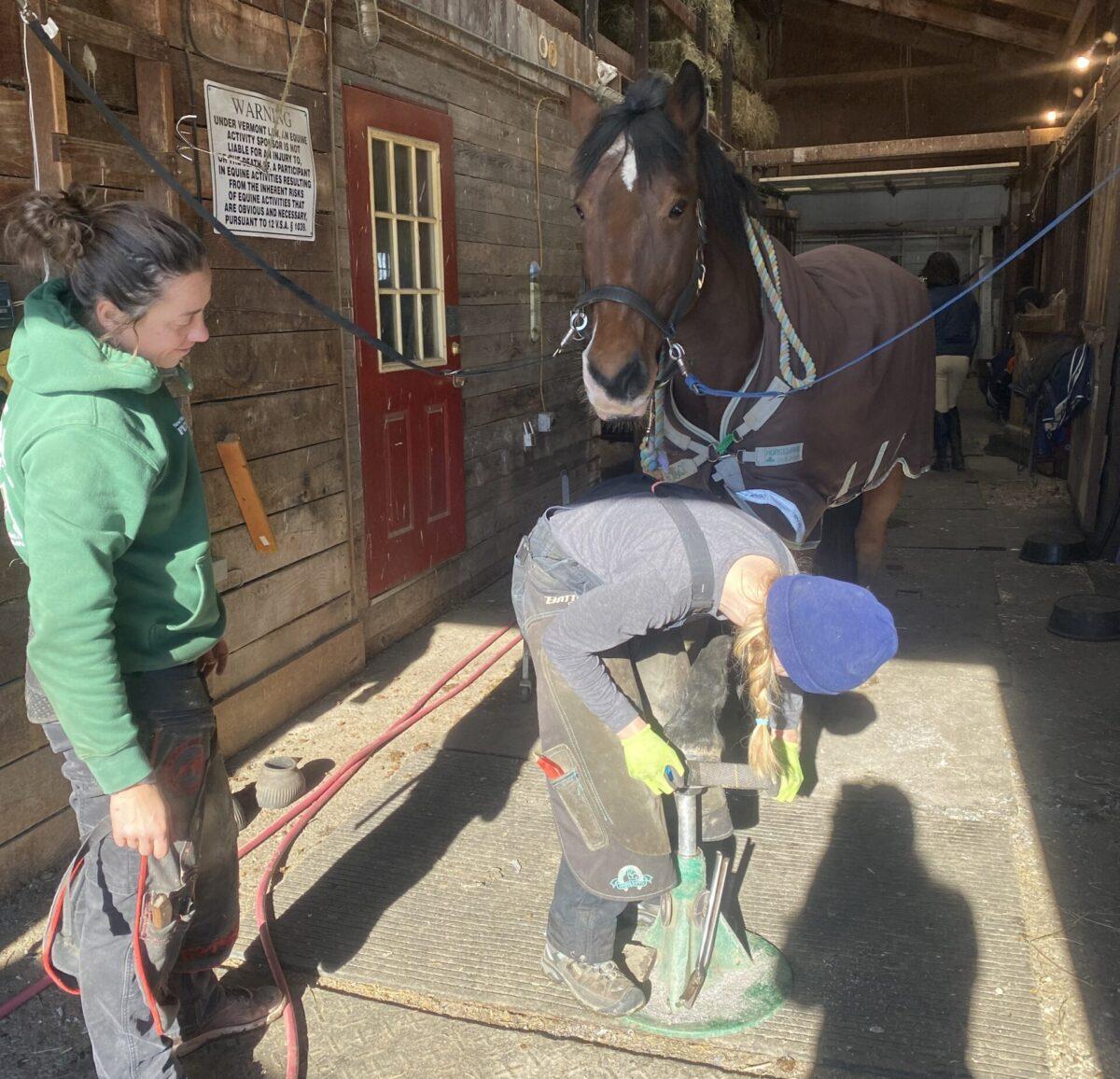 Blog – North Country Animal League