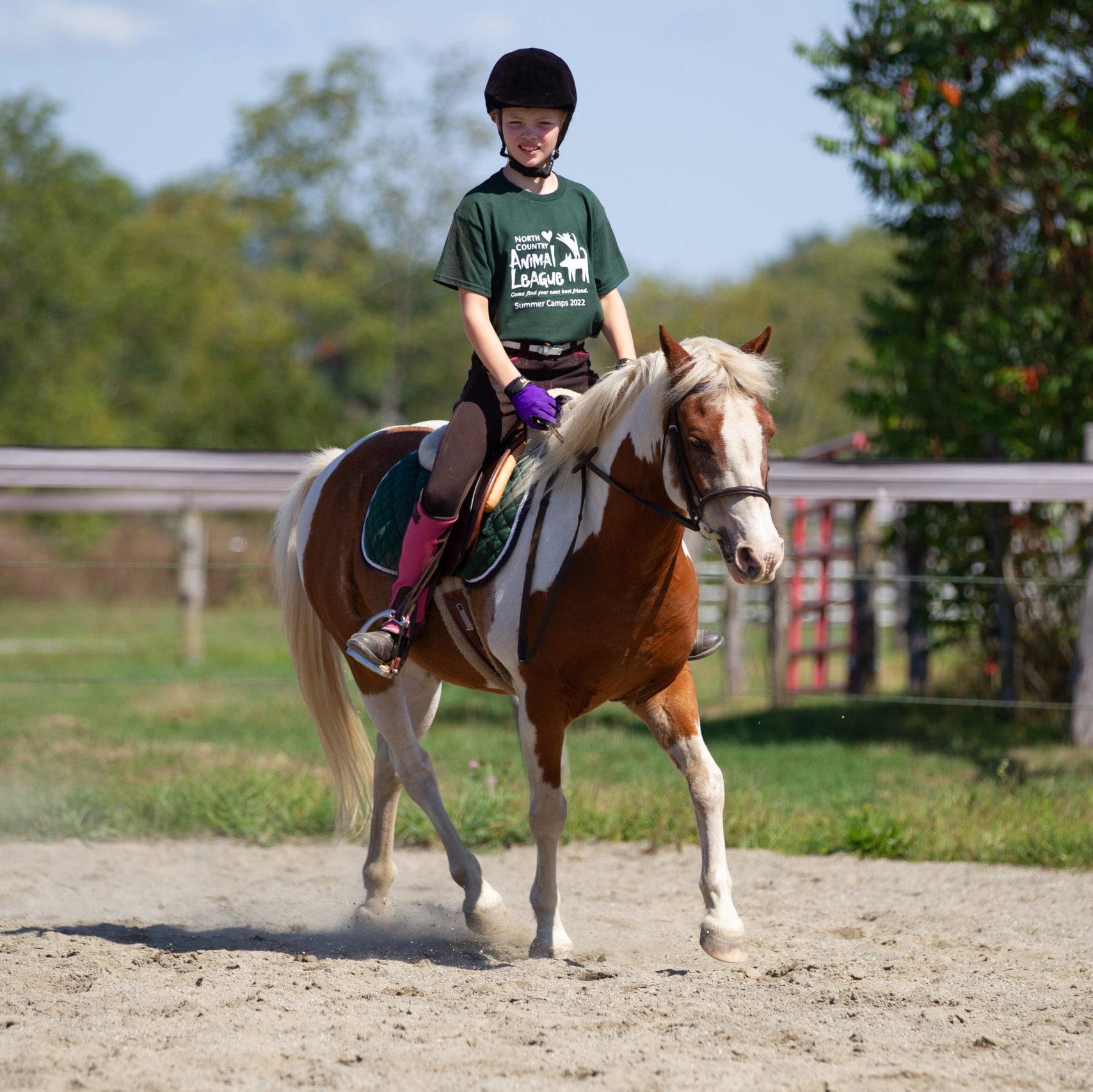 Horsemanship & Riding Camps – North Country Animal League