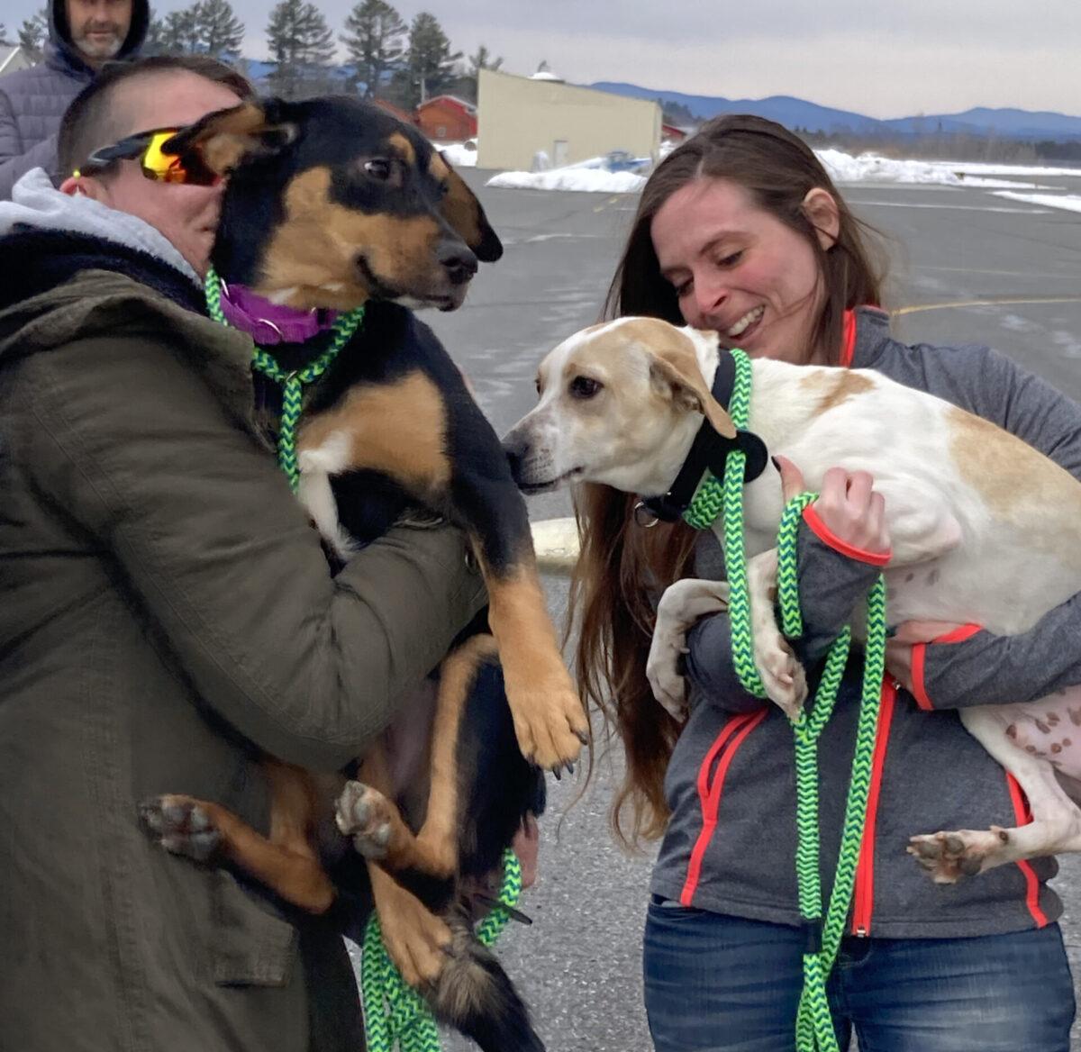 Freedom Flight Lands in Morrisville with Three Rescue Dogs – North ...